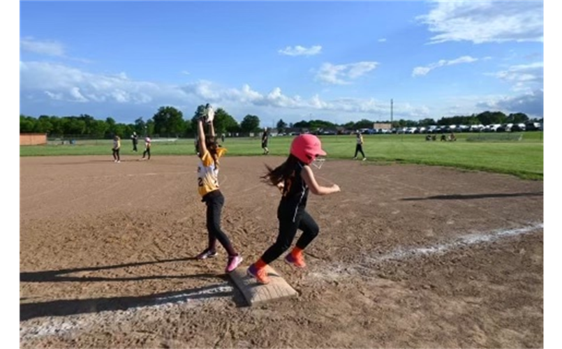 Springfield Township Baseball Association > Home